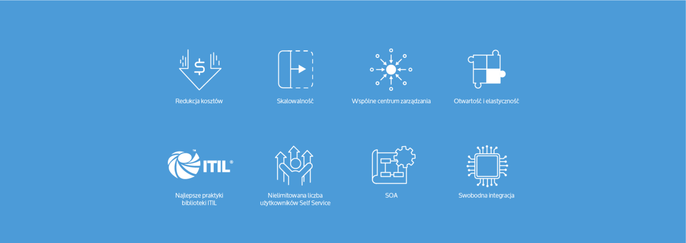 IBM Control Desk - AIUT